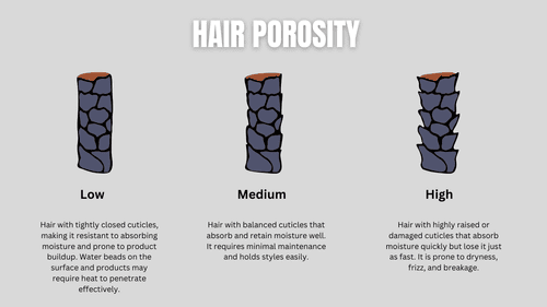 Understanding Hair Porosity and Its Impact on Your Hair Care Routine ...