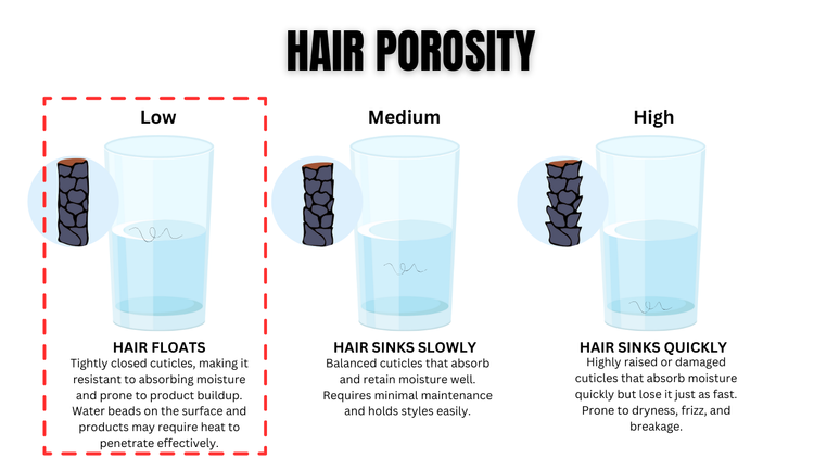 Low Hair Porosity: Do's and Don'ts — Coilees