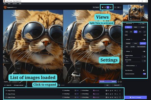 Batch Upscale Images with Topaz Gigapixel AI: Step-by-Step Guide ...