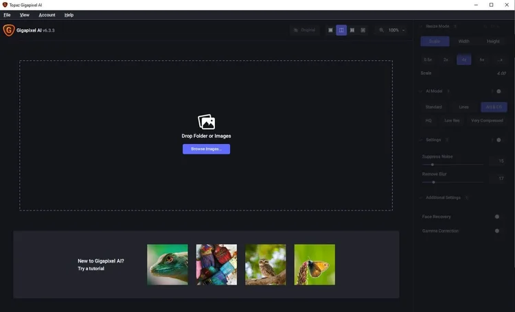 Batch Upscale Images with Topaz Gigapixel AI: Step-by-Step Guide ...