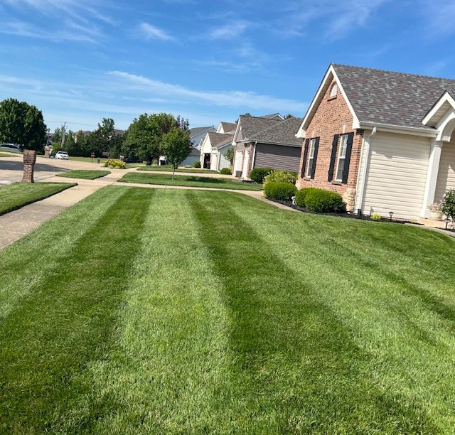 Diamond Lawn & Landscaping