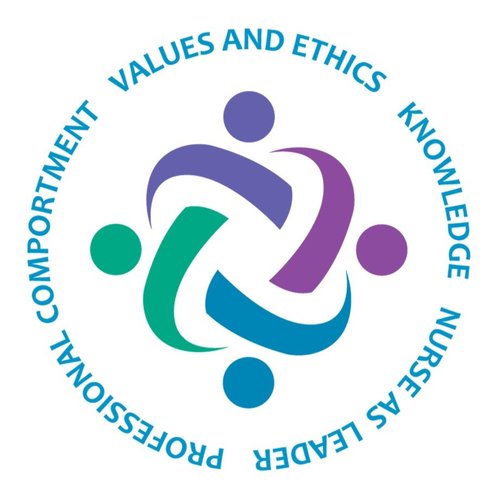 What is Professional Identity in Nursing — International Society for ...