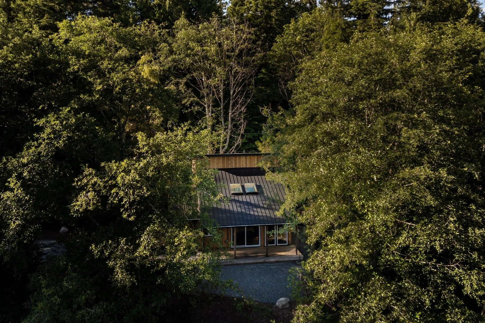 Tofino Cabin — MSA+D