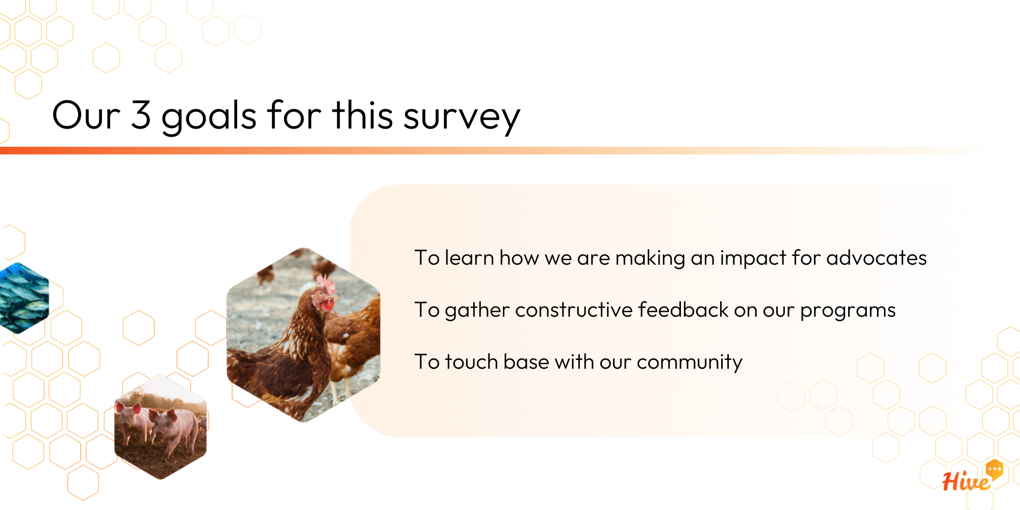 Hive Community Survey 2024 — Hive