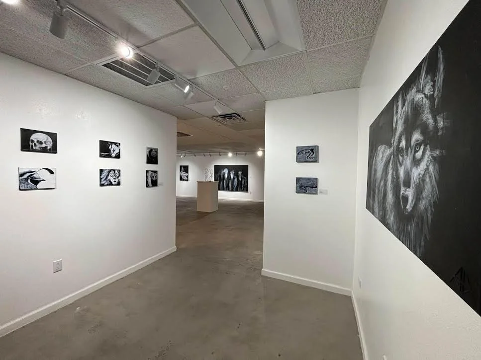 Dona Aña Arts Council