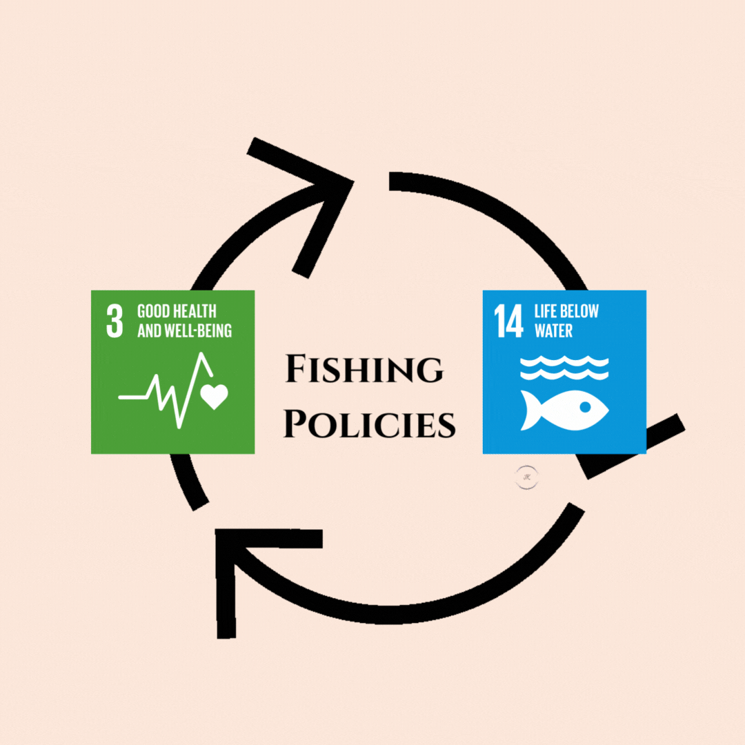 Overfishing and its Impact on Health — Jonta Kamara, MPH