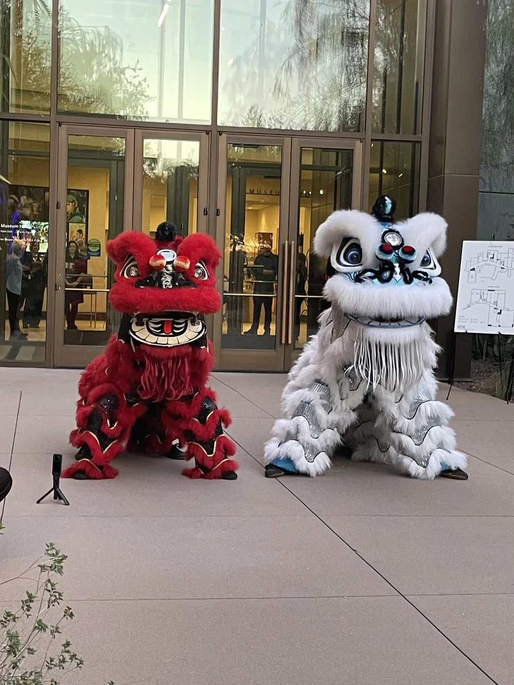 Our Shows — Golden Phoenix Lion Dance