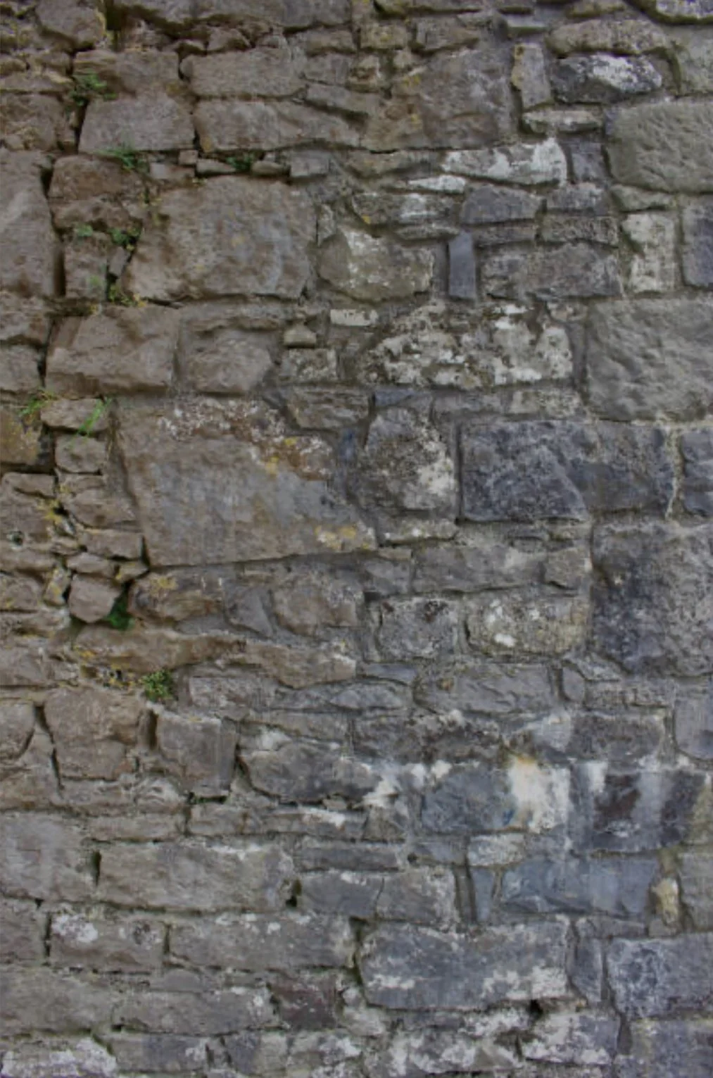 Publications — GallagherGreen.com