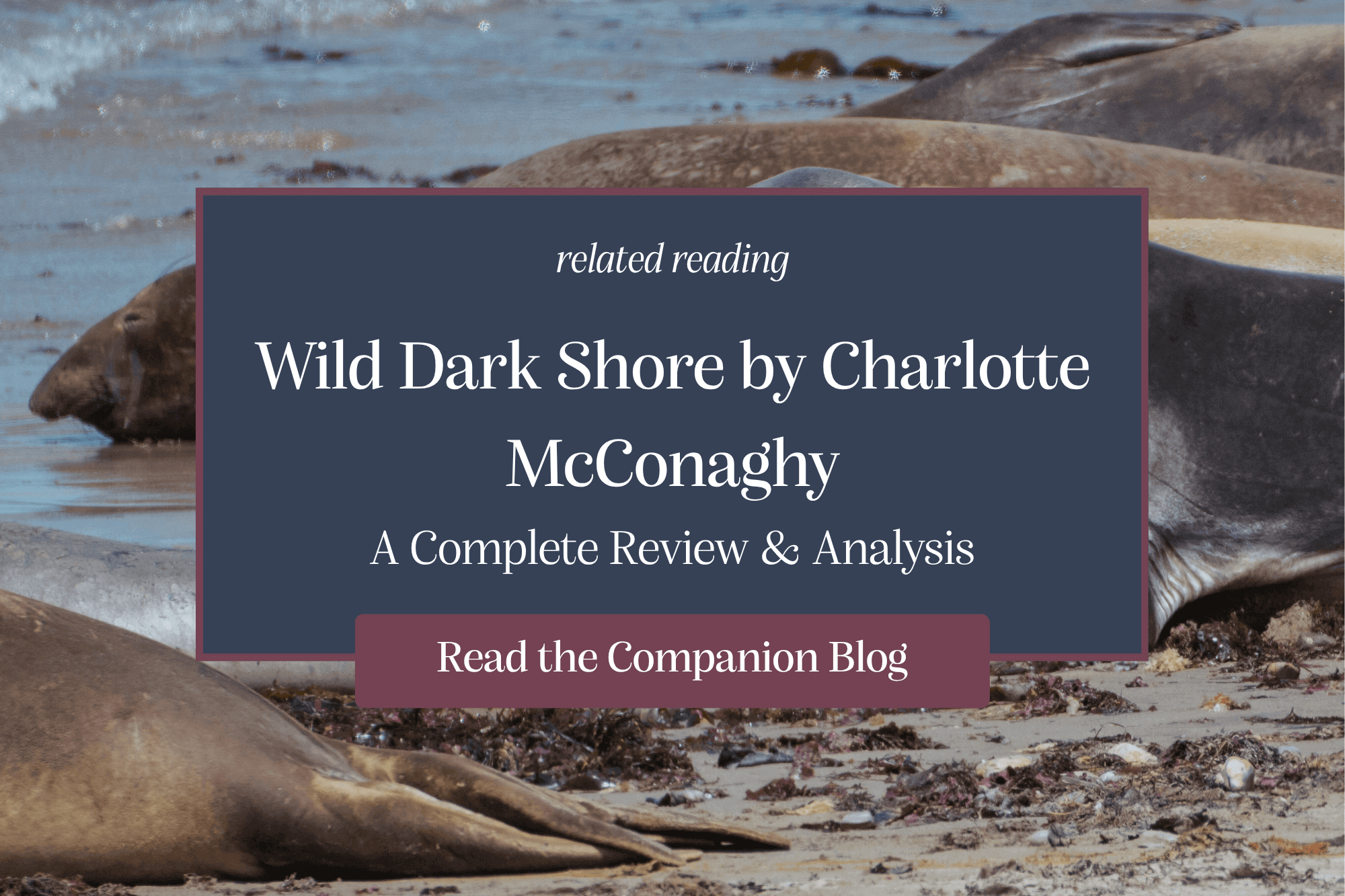 Wild Dark Shore Book Club Guide: Discussion Questions + Author Career ...