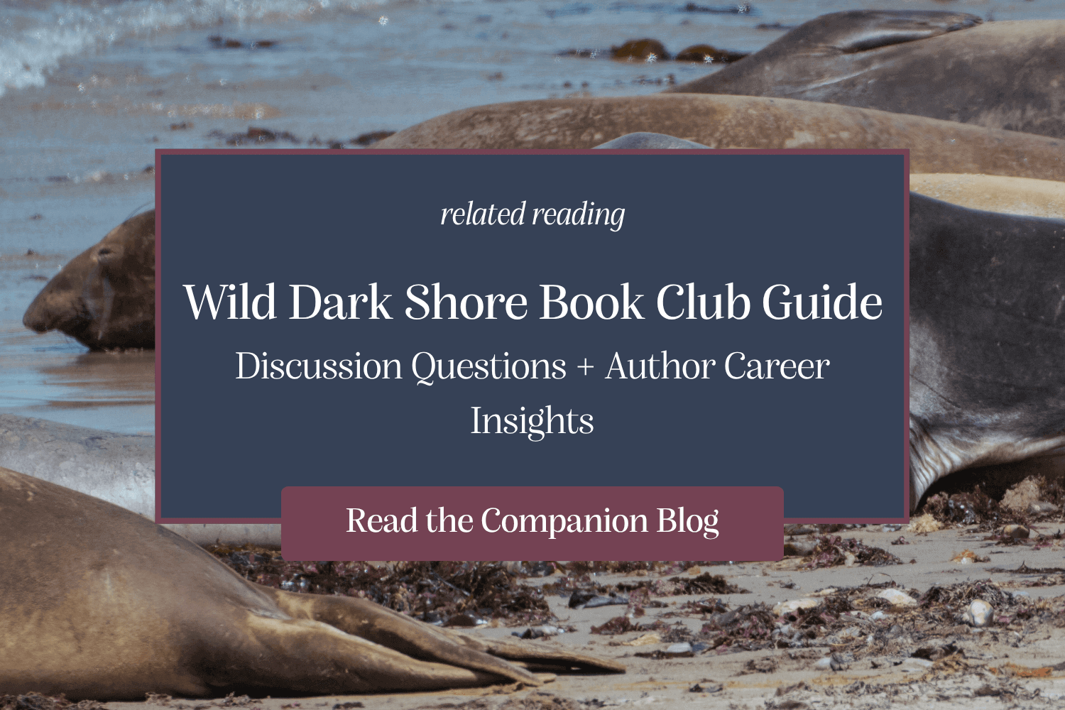 Wild Dark Shore by Charlotte McConaghy: A Complete Review and Analysis ...