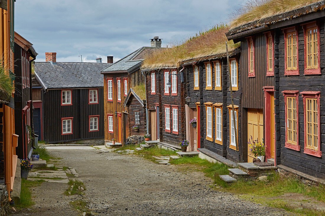 Norwegian Court Acknowledges COVID Vaccine Injury ★ The Norse Warrior