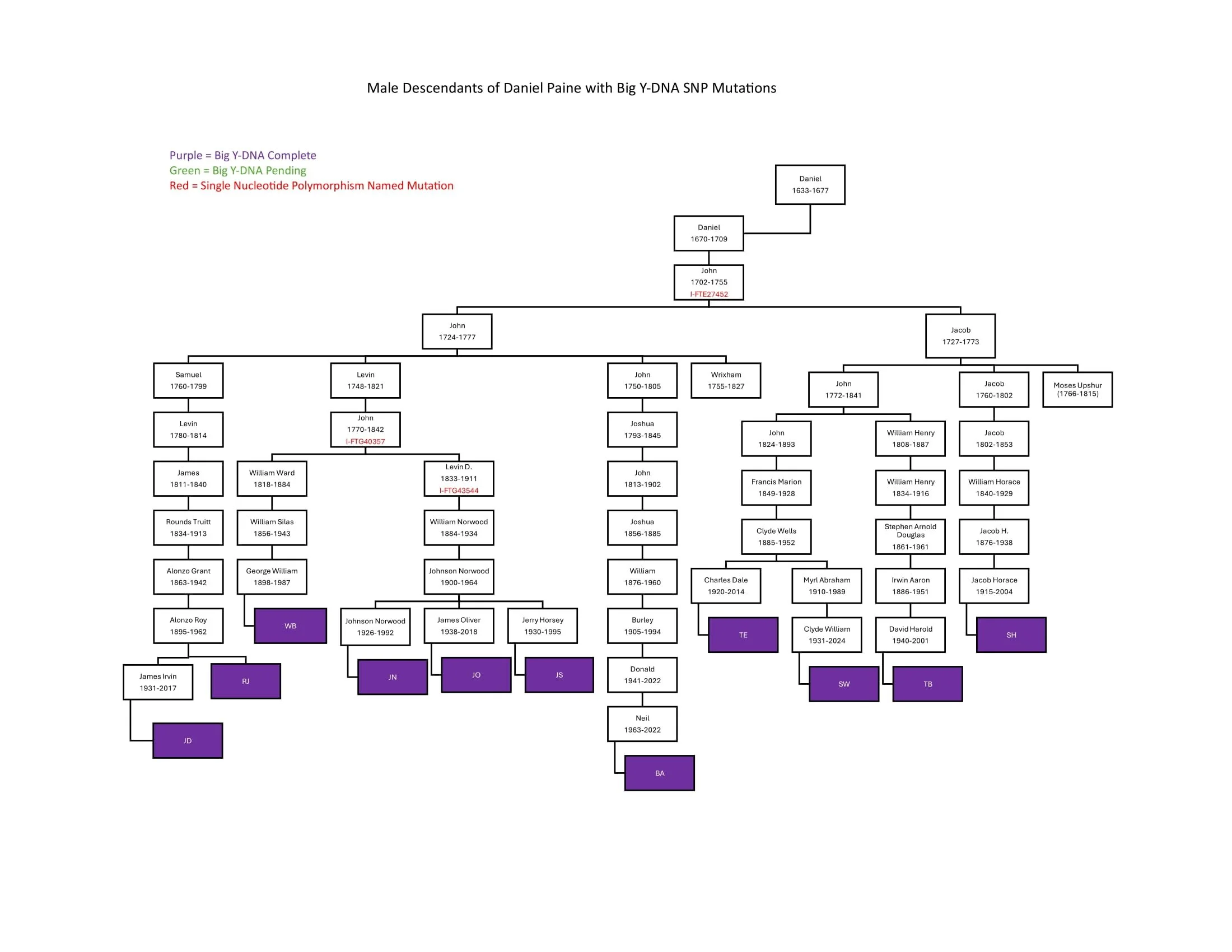 Y-DNA — Daniel Paine of Northampton County, Virginia, and His Descendants