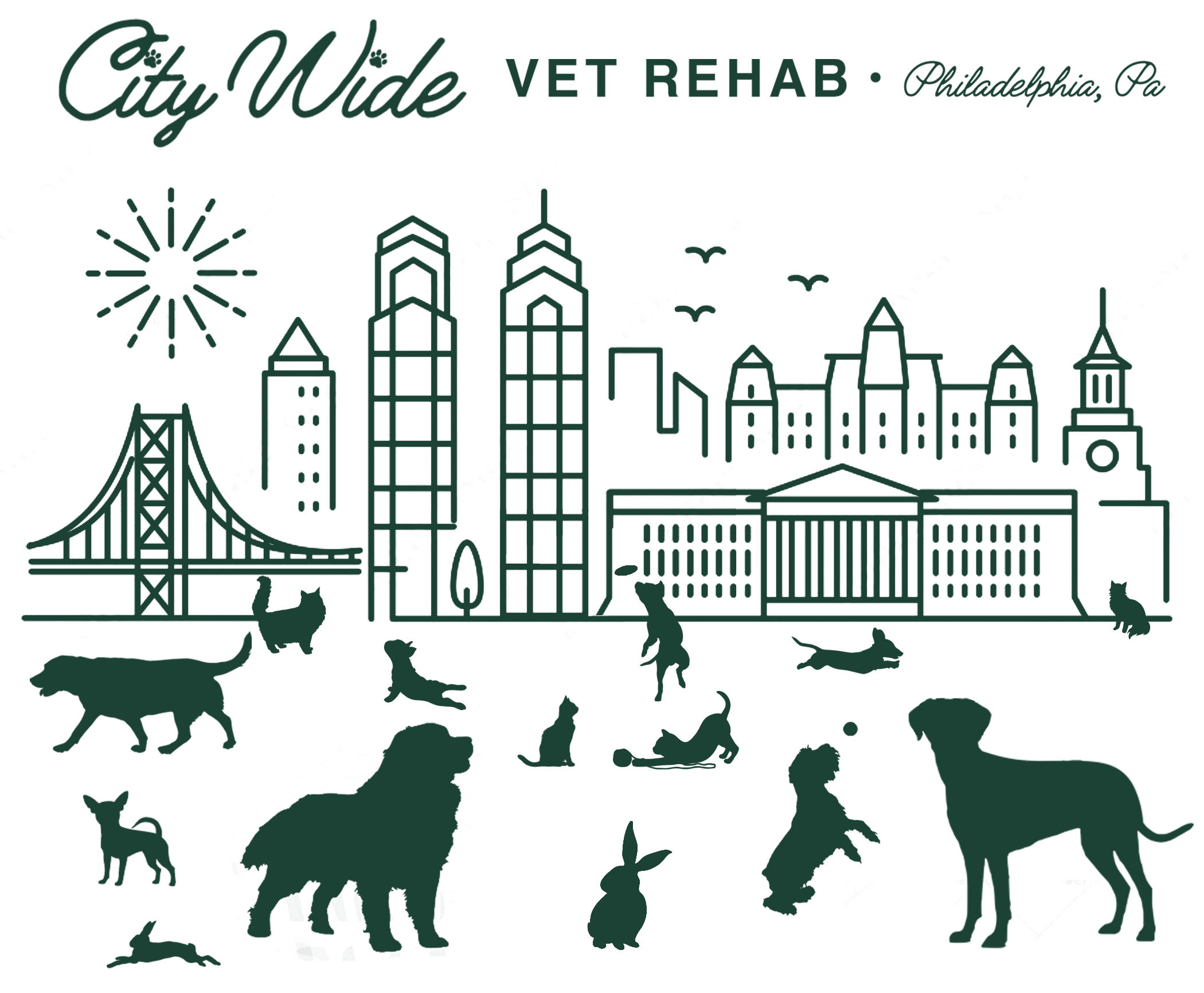 City Wide Vet | Philadelphia, PA