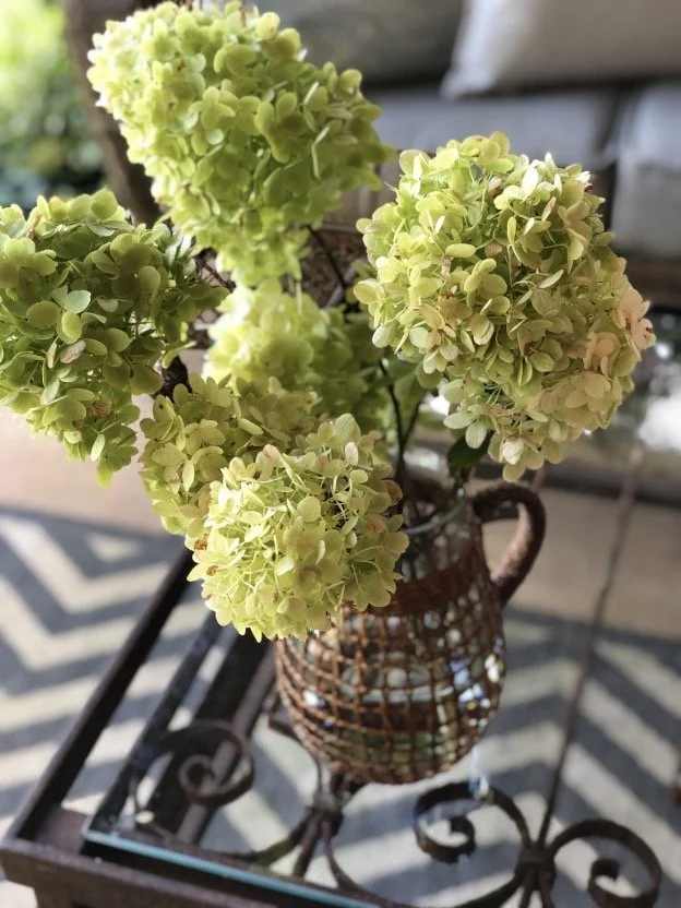 DIY Dried Hydrangeas — Carmen Johnston Gardens