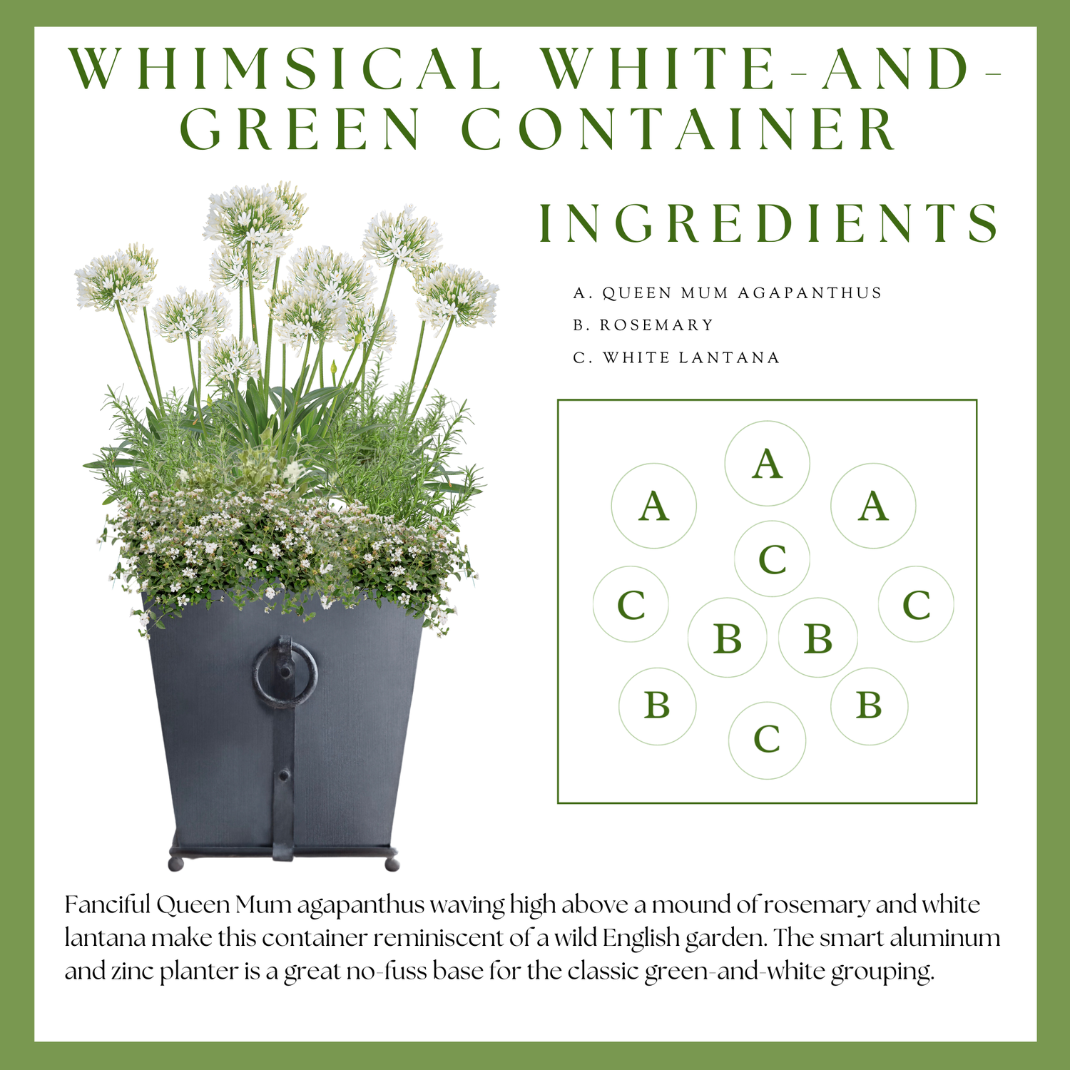 Spring Has Sprung Container Collection — Carmen Johnston Gardens