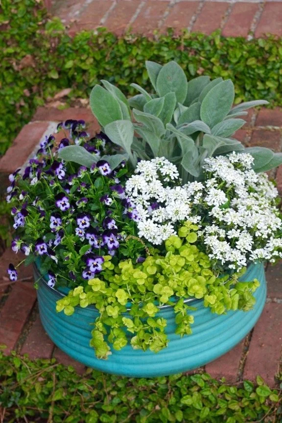 Let's Get Spring Planting Ready — Carmen Johnston Gardens