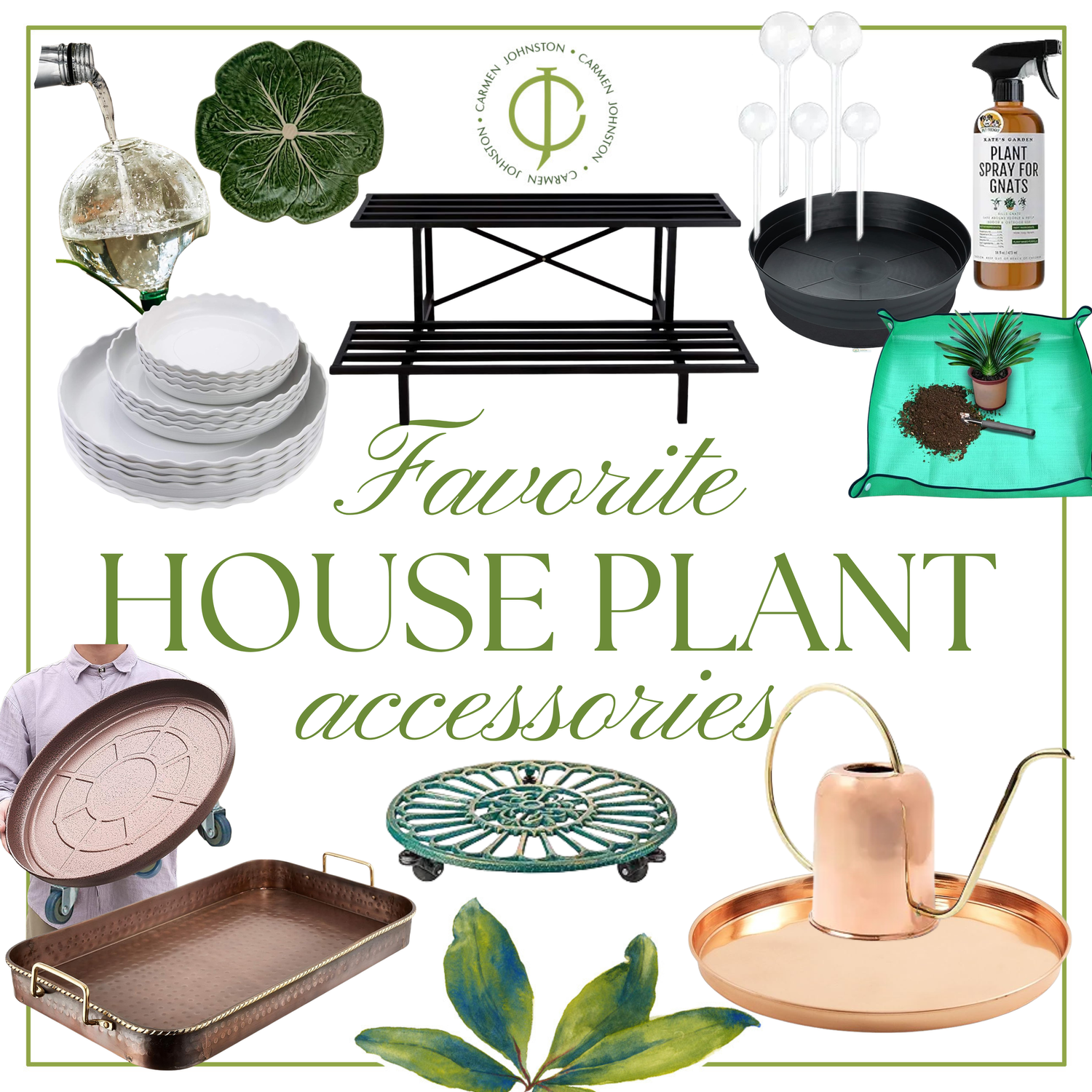 My Favorite House Plant Accessories — Carmen Johnston Gardens