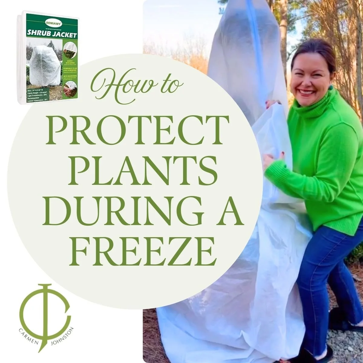 Prepare your home & PROTECT YOUR PLANTS before a hard freeze — Carmen ...