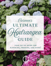 The Secret to Antiquing Hydrangeas: How to Extend Bloom Life — Carmen ...