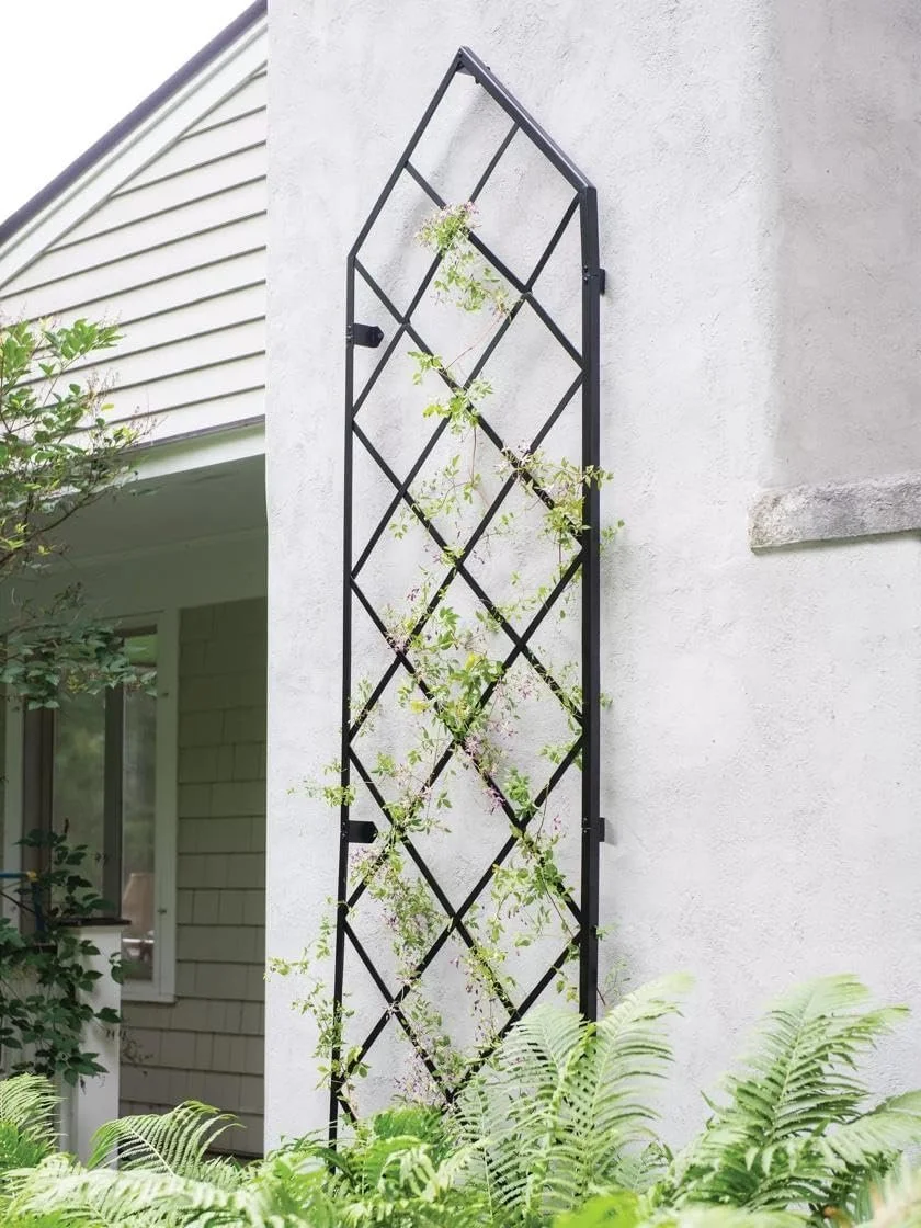 The Timeless Beauty of Treillage: How to Style Your Garden with Classic Trellis Plants — Carmen ...
