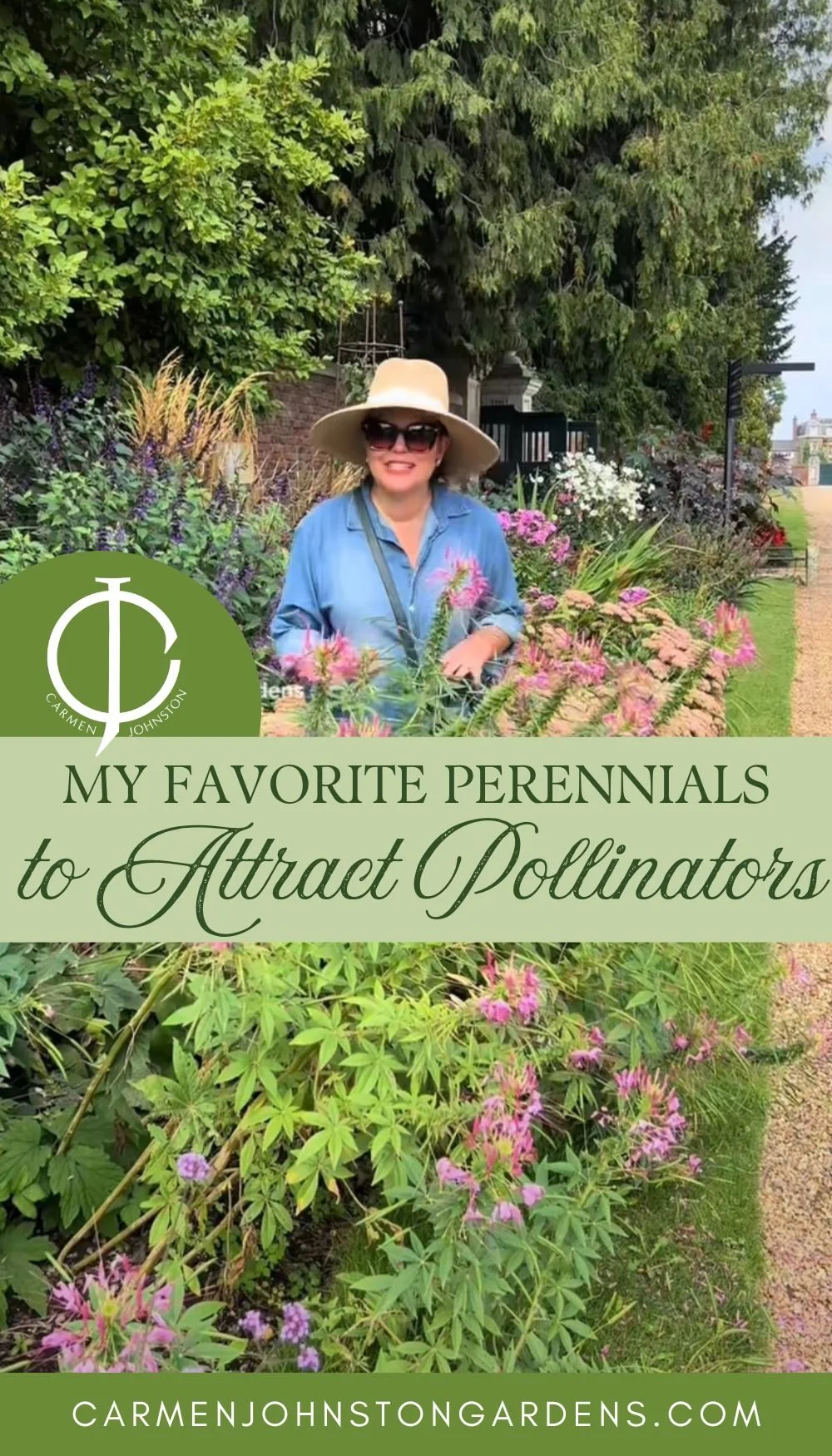 Best Perennials to Attract Pollinators to your Garden — Carmen Johnston ...