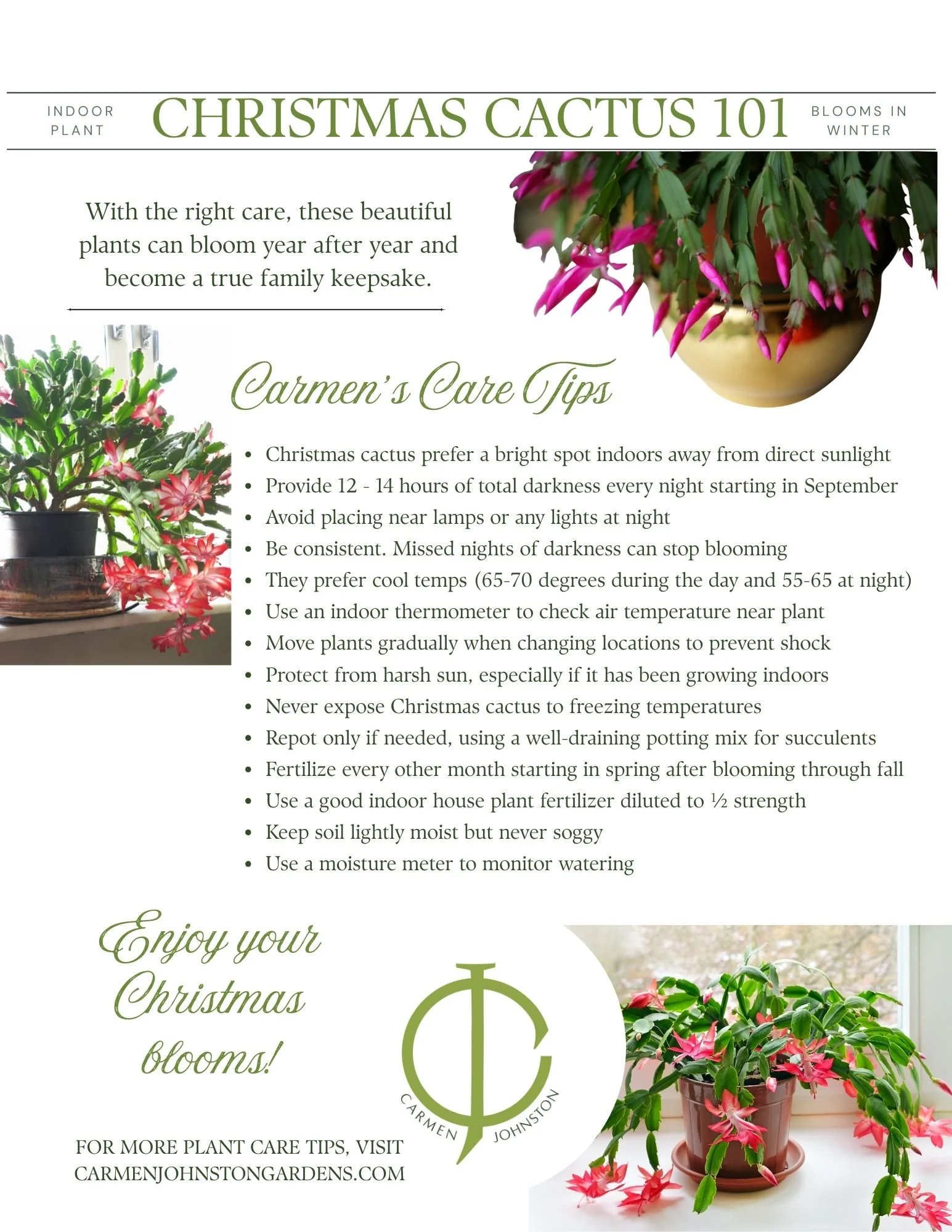 CARMEN’S CHRISTMAS CACTUS CARE — Carmen Johnston Gardens