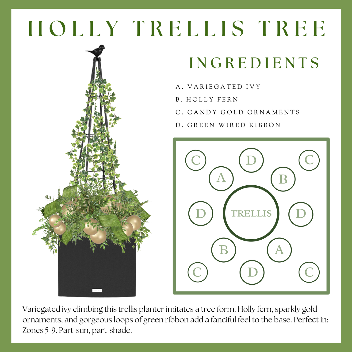 Happy Holidays Container Garden — Carmen Johnston Gardens
