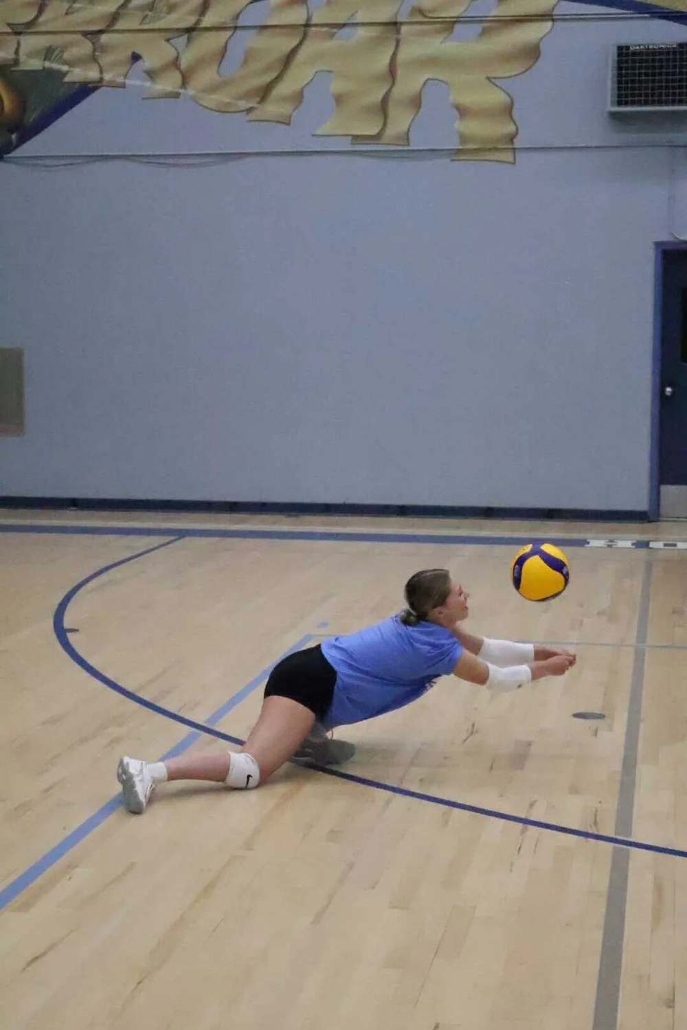 Peak Performance Volleyball