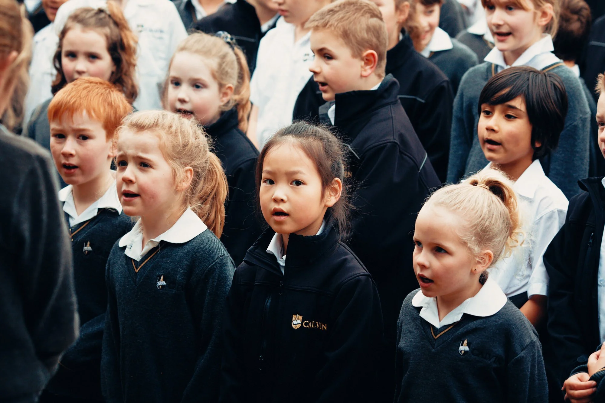 Primary School | Calvin Christian School