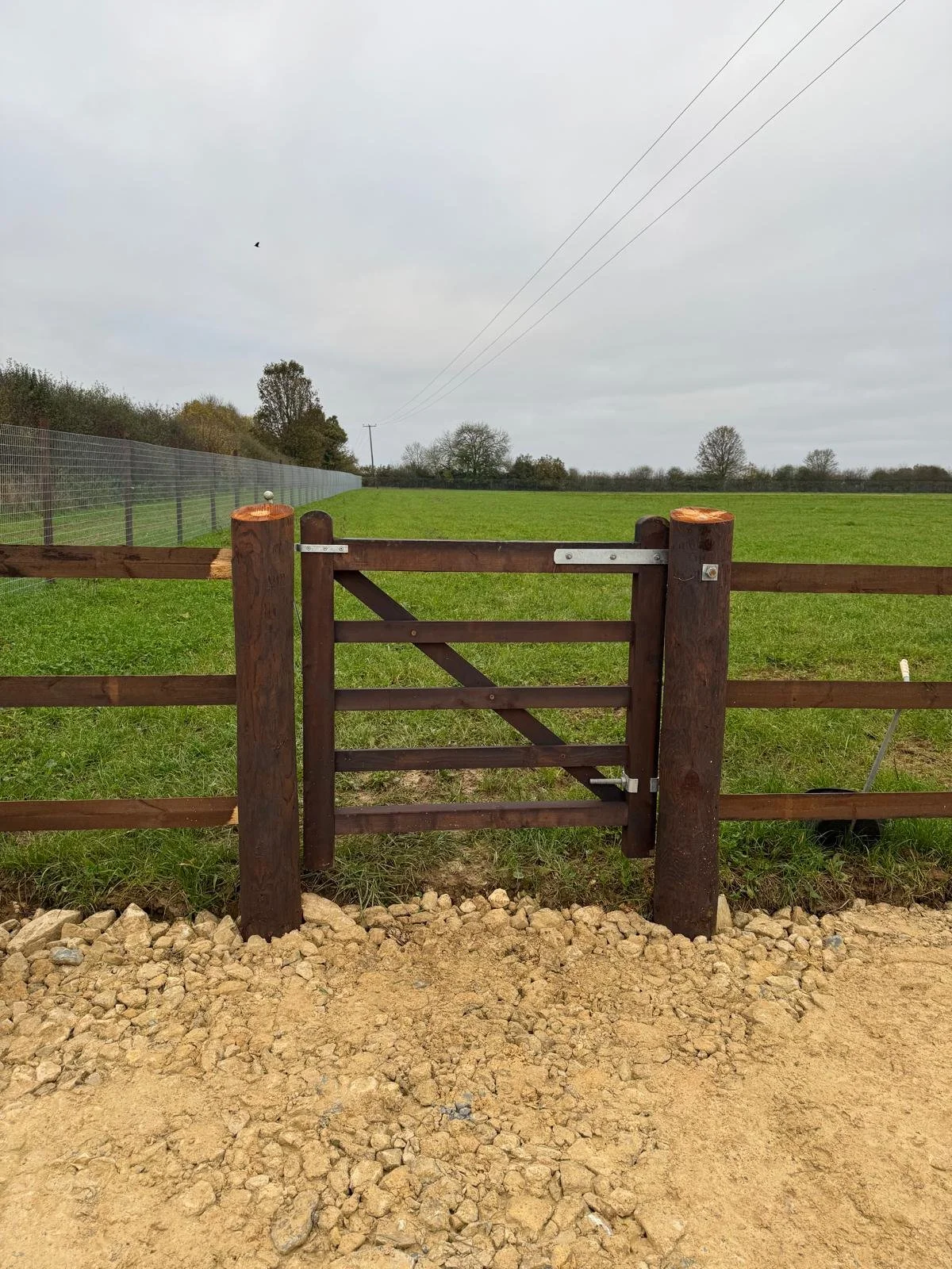 Gallery 1 — Field Day Dog Field