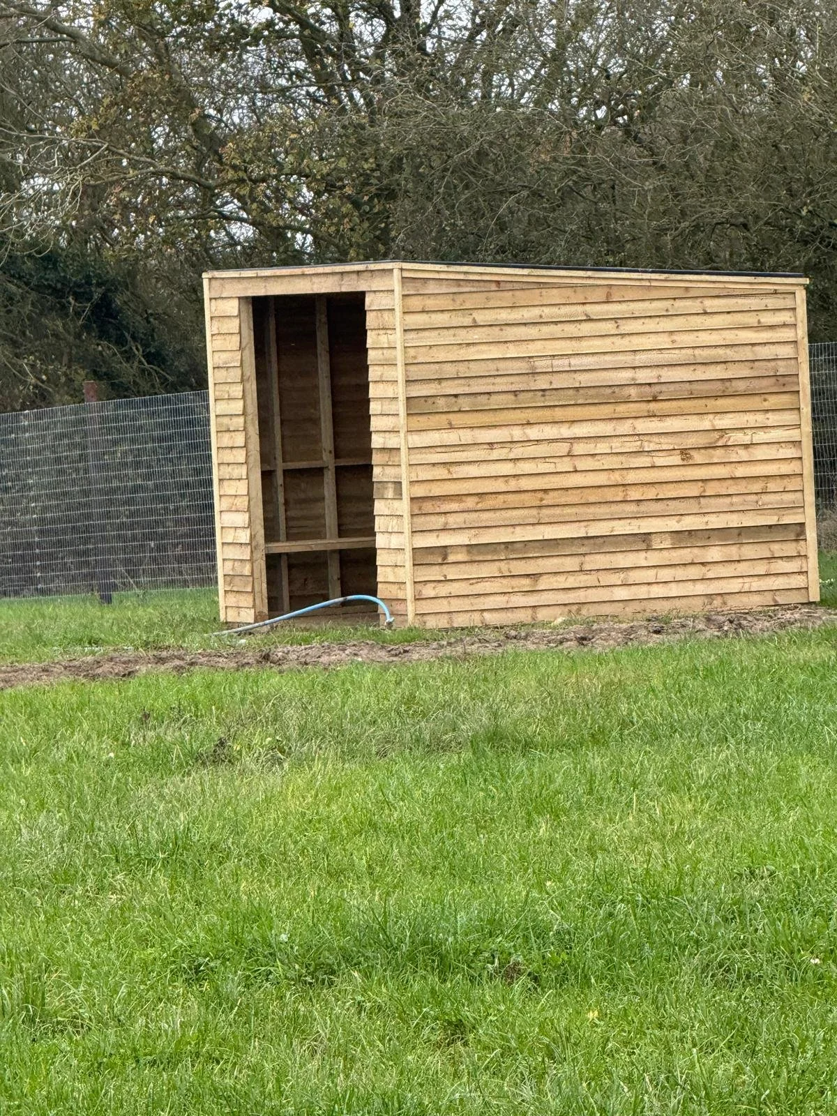 Gallery 1 — Field Day Dog Field