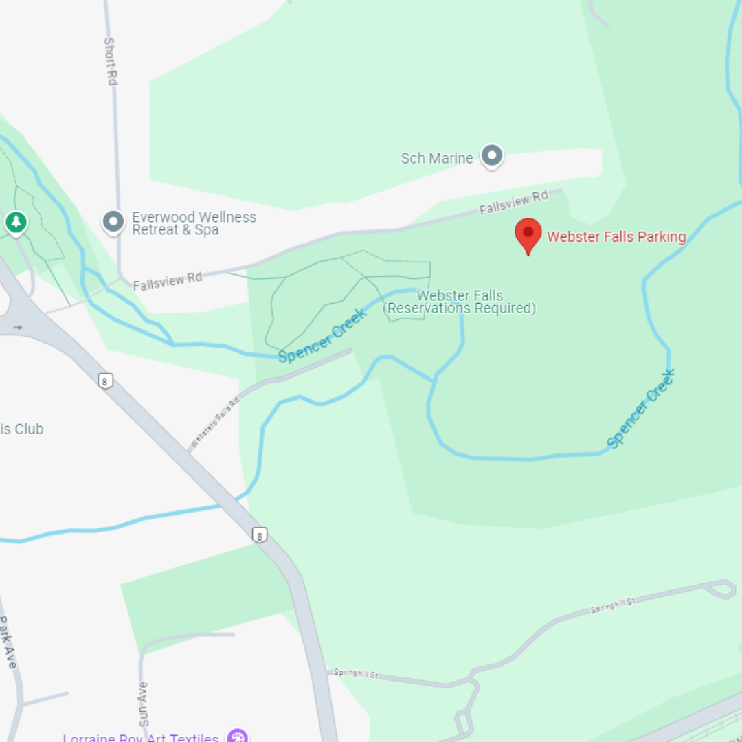 3 Waterfalls in Hamilton, Ontario You MUST Visit — 360HAMILTON
