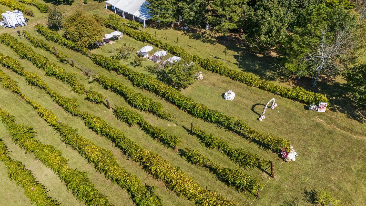 Norwood Vineyard & Gardens | Outdoor Event Venue and Vineyard Near ...