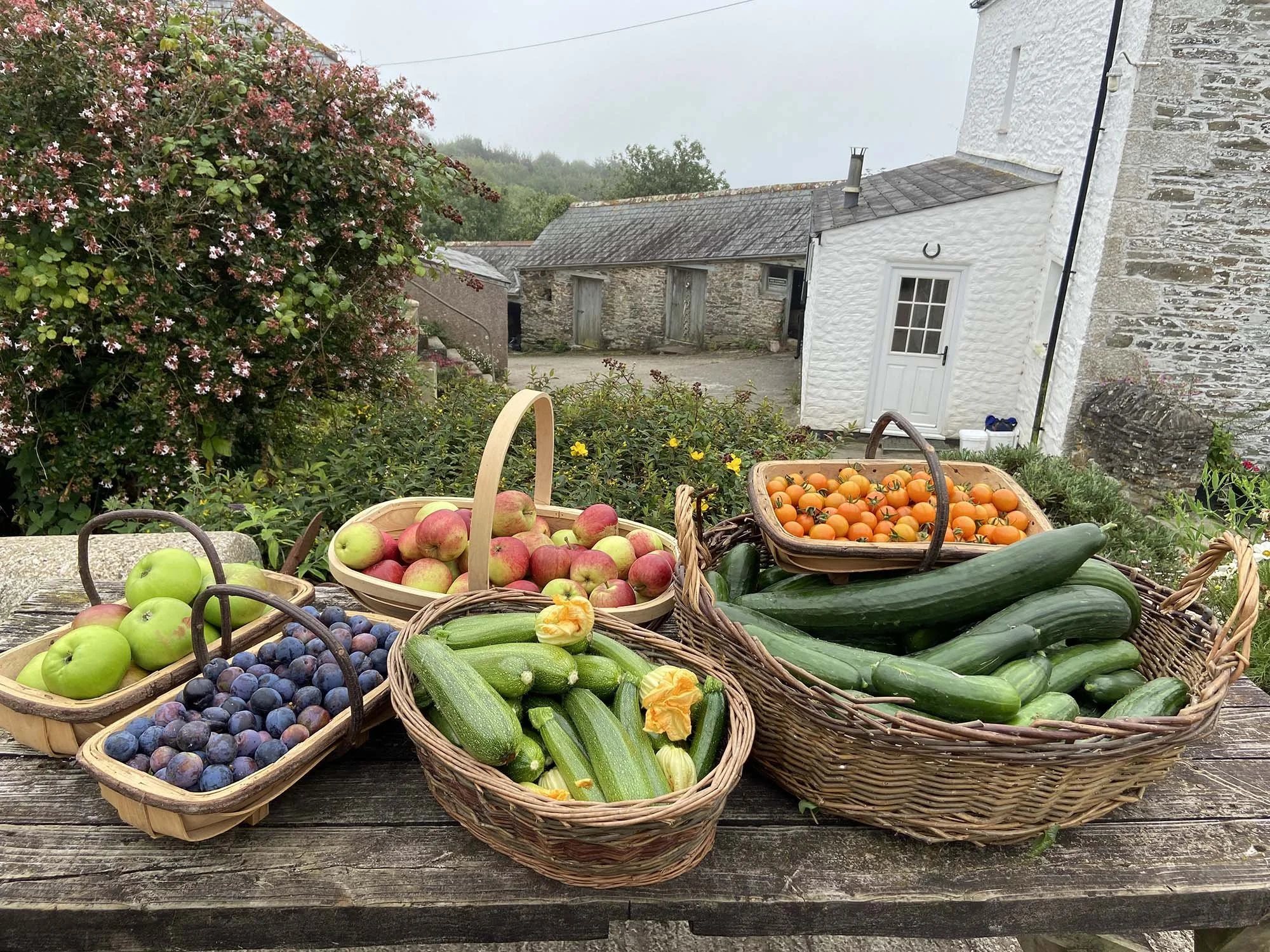 Pendower Farm Shop l Fresh Cornish Seafood & Local Produce