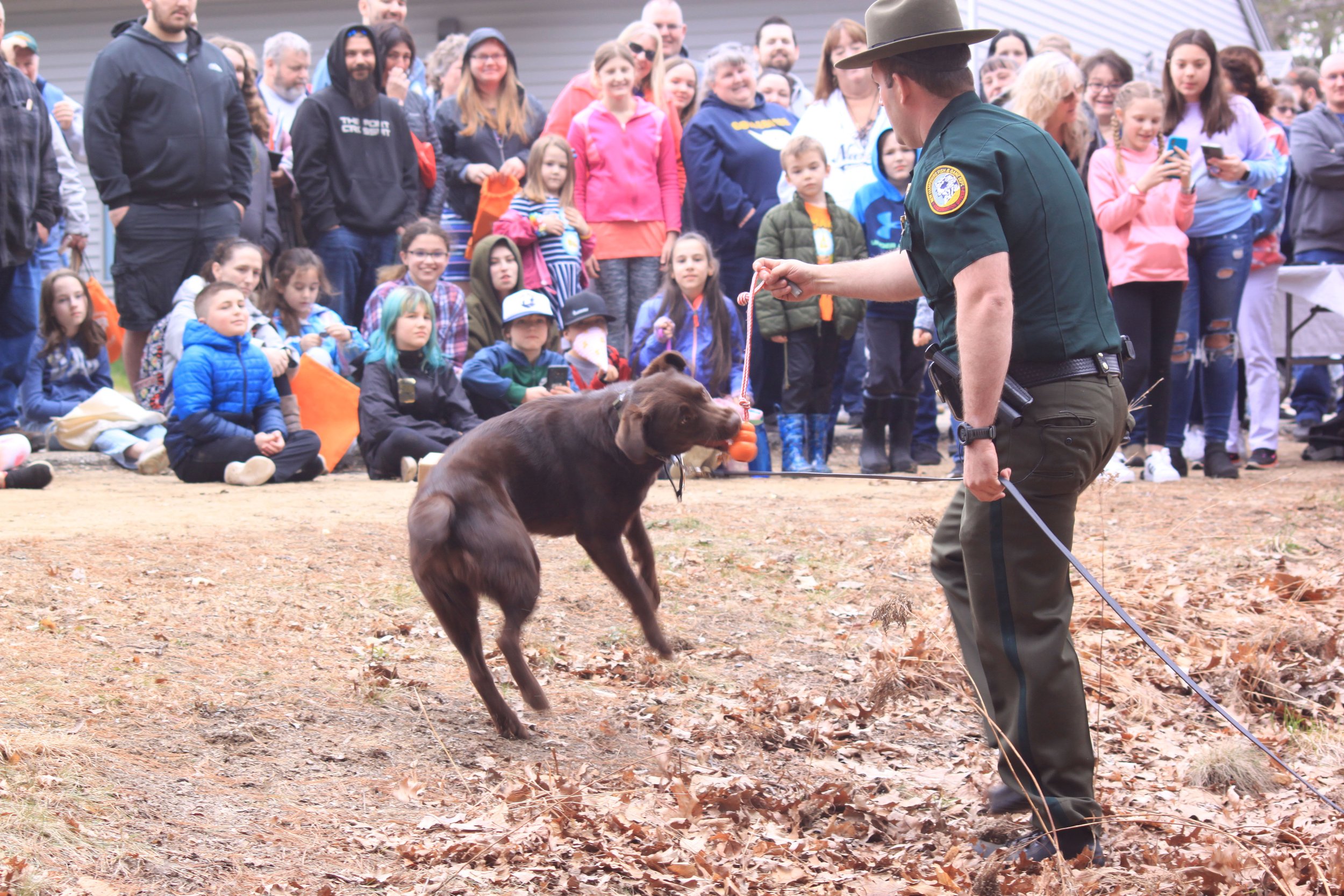 Discover Wild NH Day — Wildlife Heritage Foundation of NH