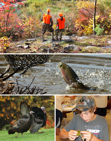 Wildlife Heritage Foundation of NH