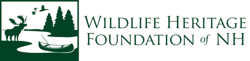 Discover Wild NH Day — Wildlife Heritage Foundation of NH