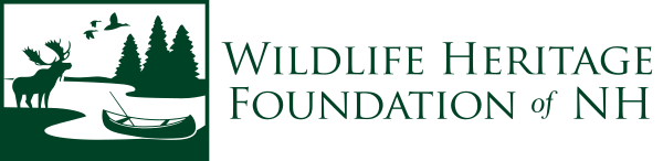 Discover Wild NH Day — Wildlife Heritage Foundation of NH