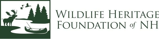 The Exhibit — Wildlife Heritage Foundation of NH