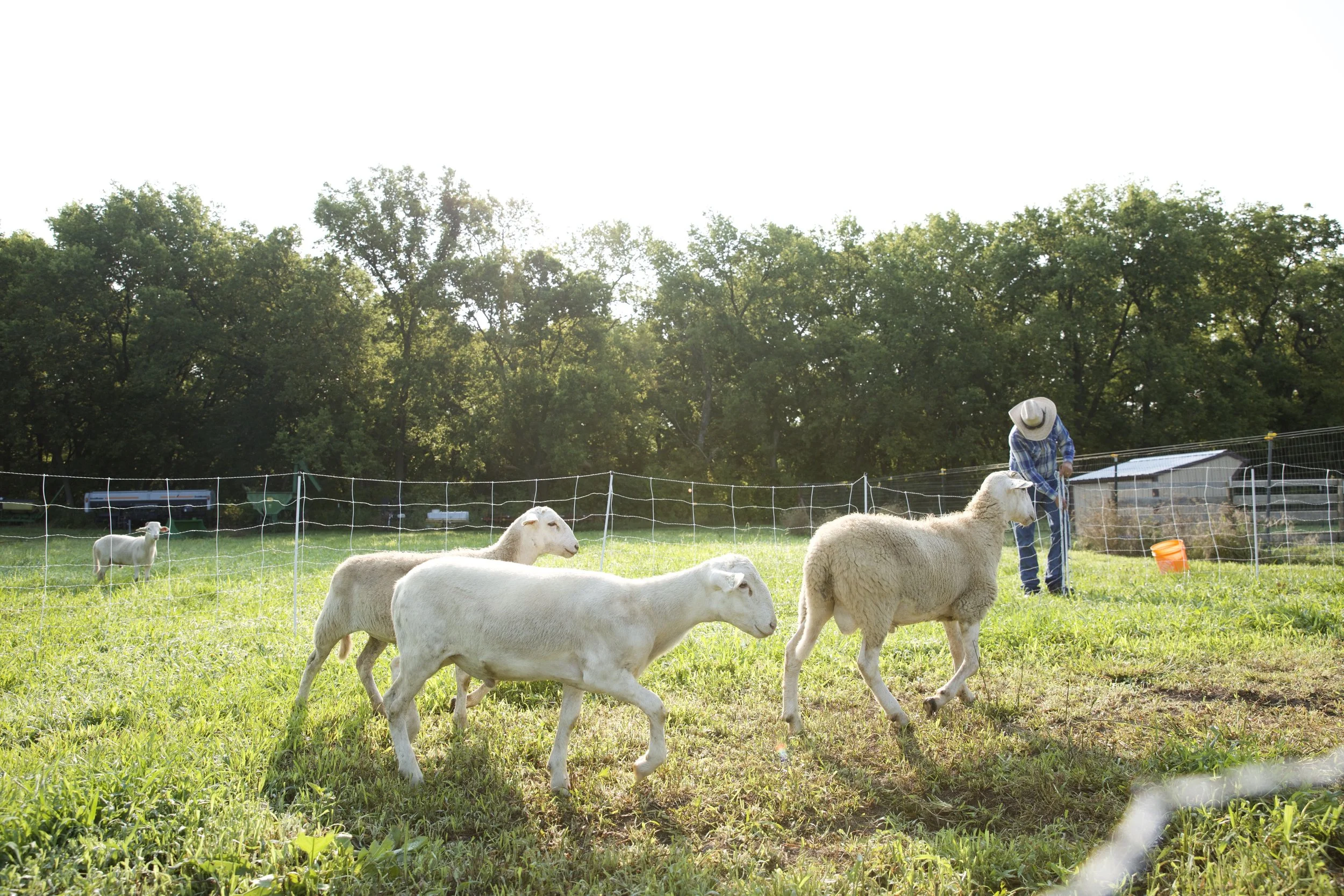 SAVE Farm Website