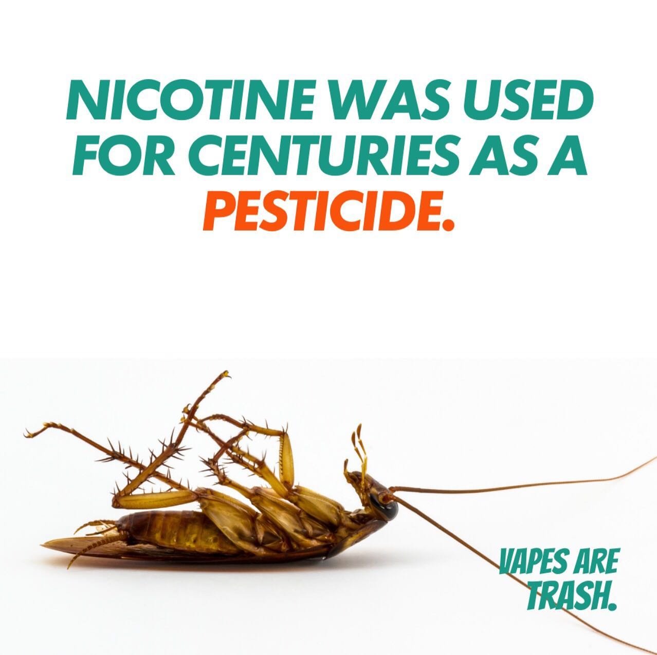 Materials — Vapes Are Trash