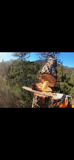 Diaz Tree Service, Inc.