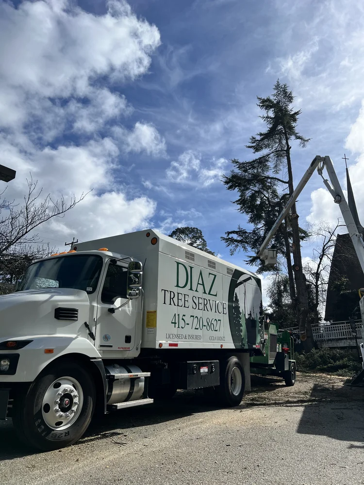 Diaz Tree Service, Inc.