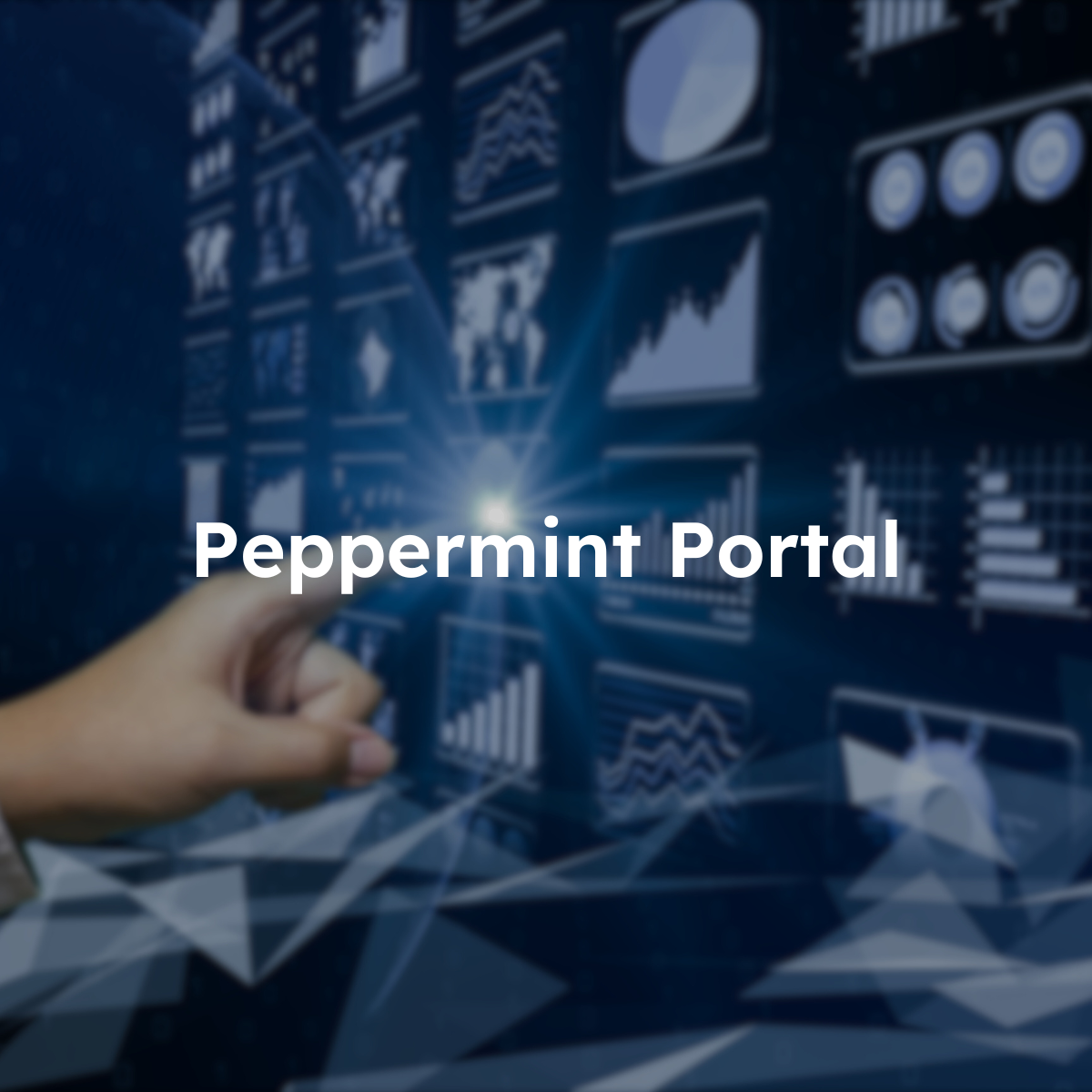 Our Platform — Peppermint Technology Inc.