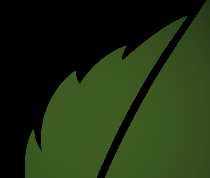 Minerva — Peppermint Technology Inc.