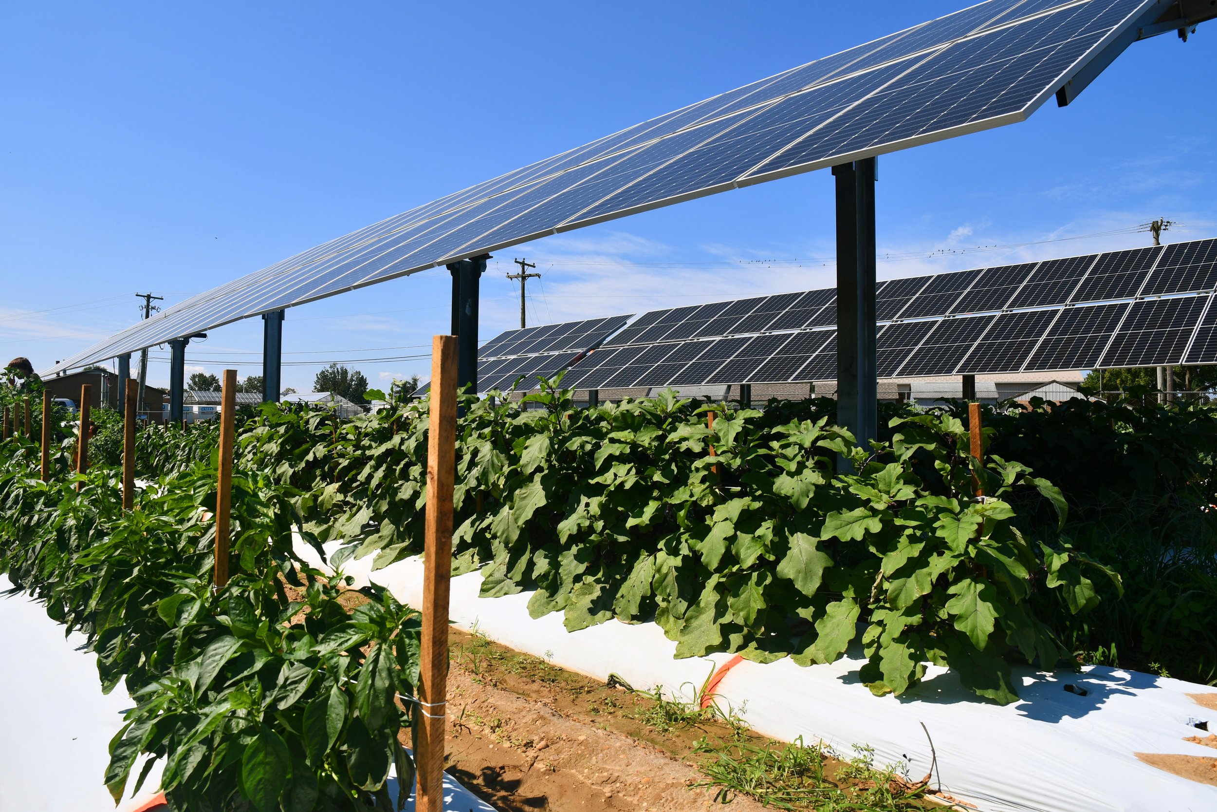 Farmers Powering Communities | Empower Sustainable Farming - Get Involved
