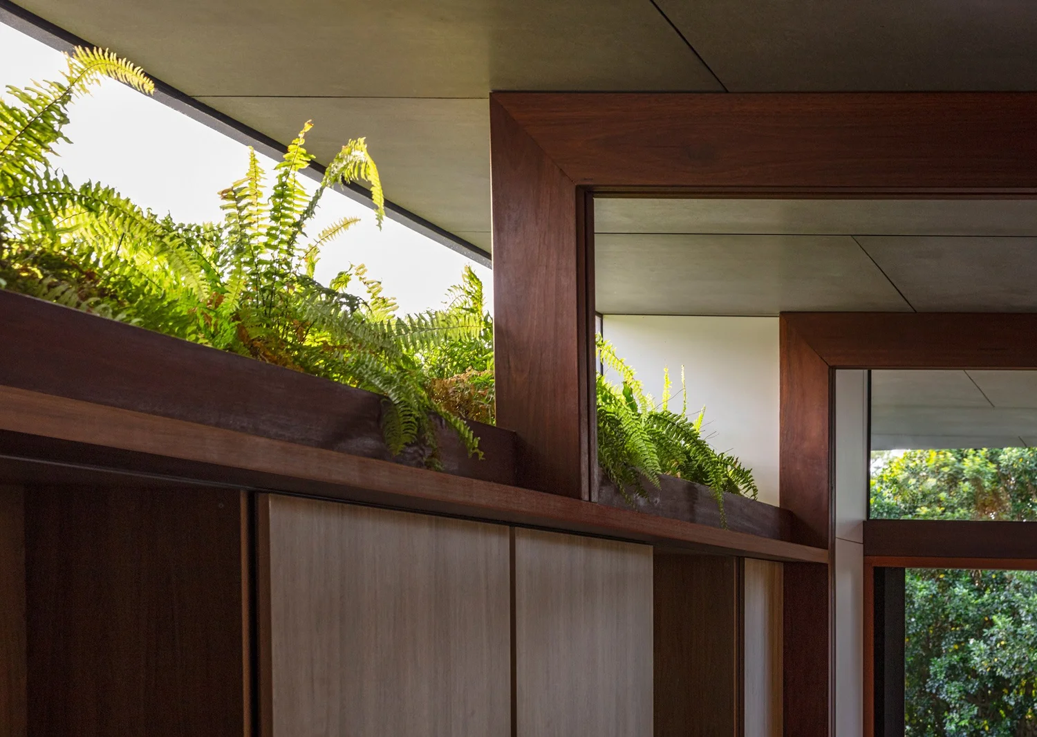 Totoro House — CplusC Architects + Builders