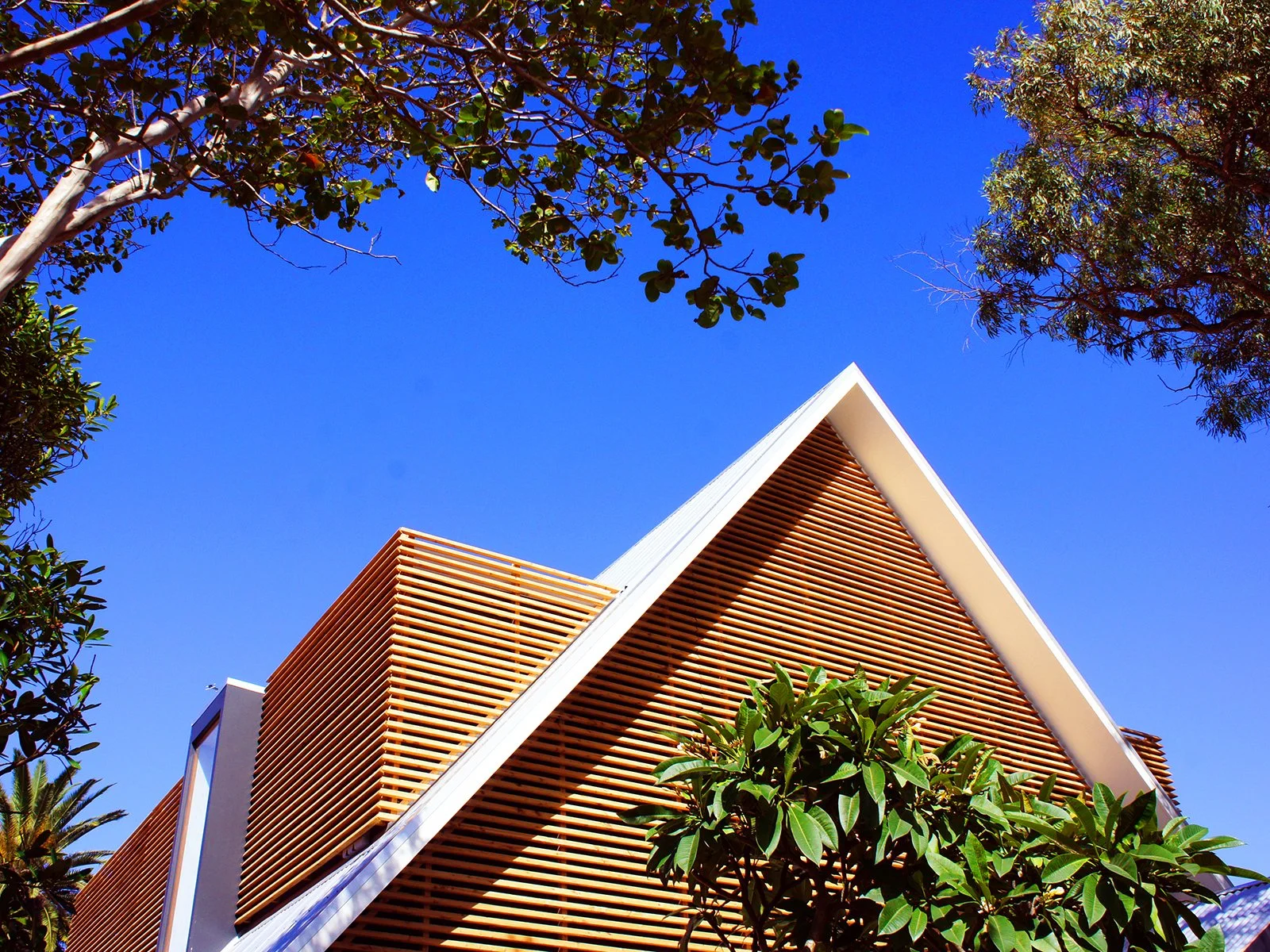 Cape Fear — CplusC Architects + Builders