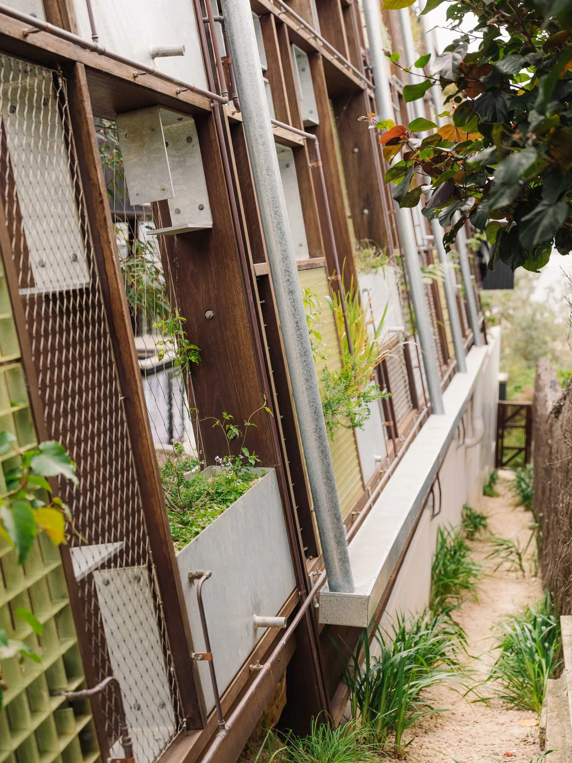Holocene House — CplusC Architects + Builders