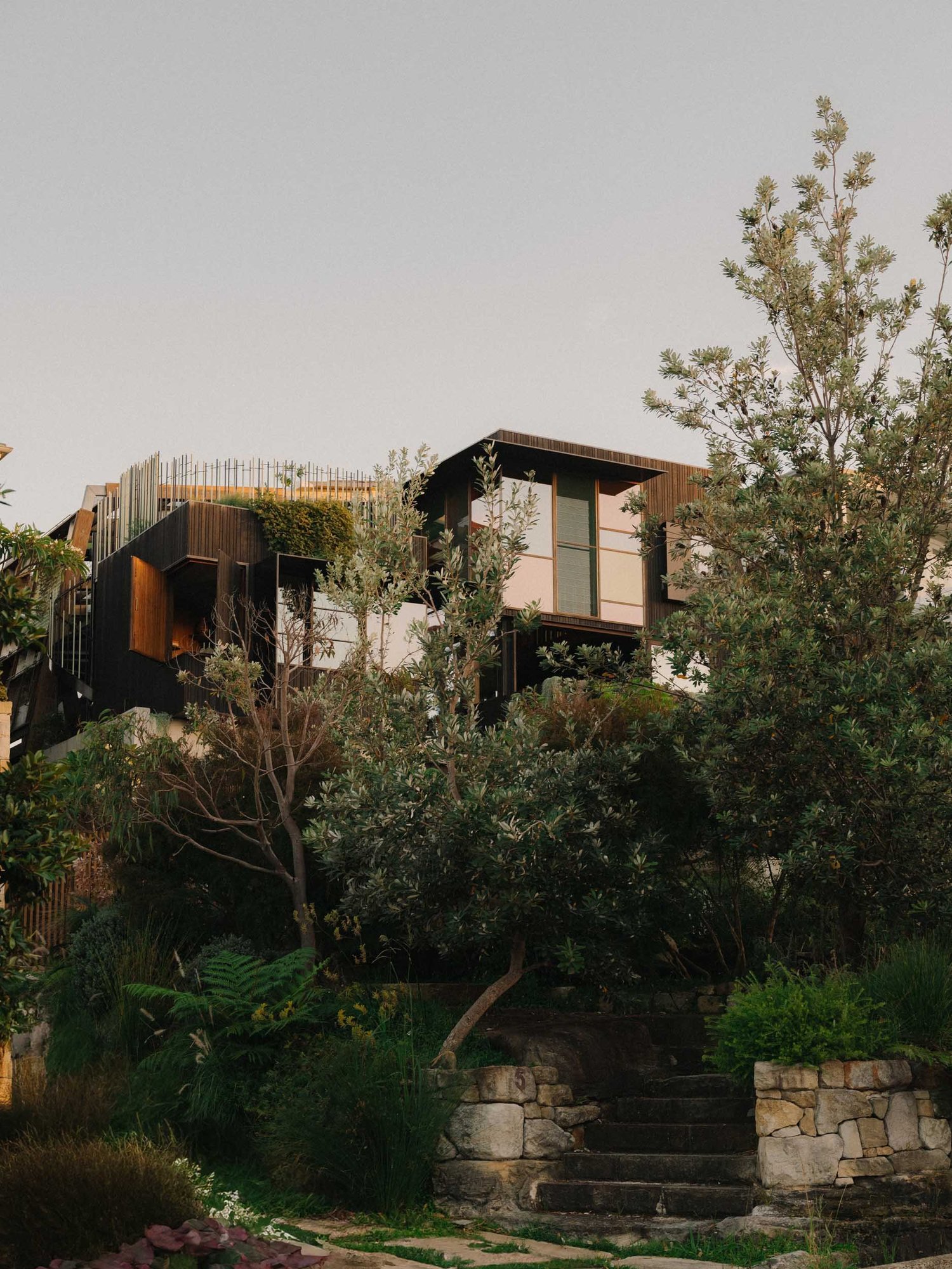 Holocene House — CplusC Architects + Builders